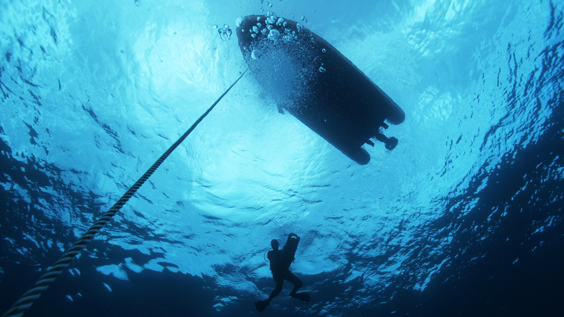 国立研究開発法人 海洋研究開発機構 JAMSTEC 藤倉克則さん のインタビュー(2)「深海魚の調査はどのように行われているのか」 – 海を守ろう！